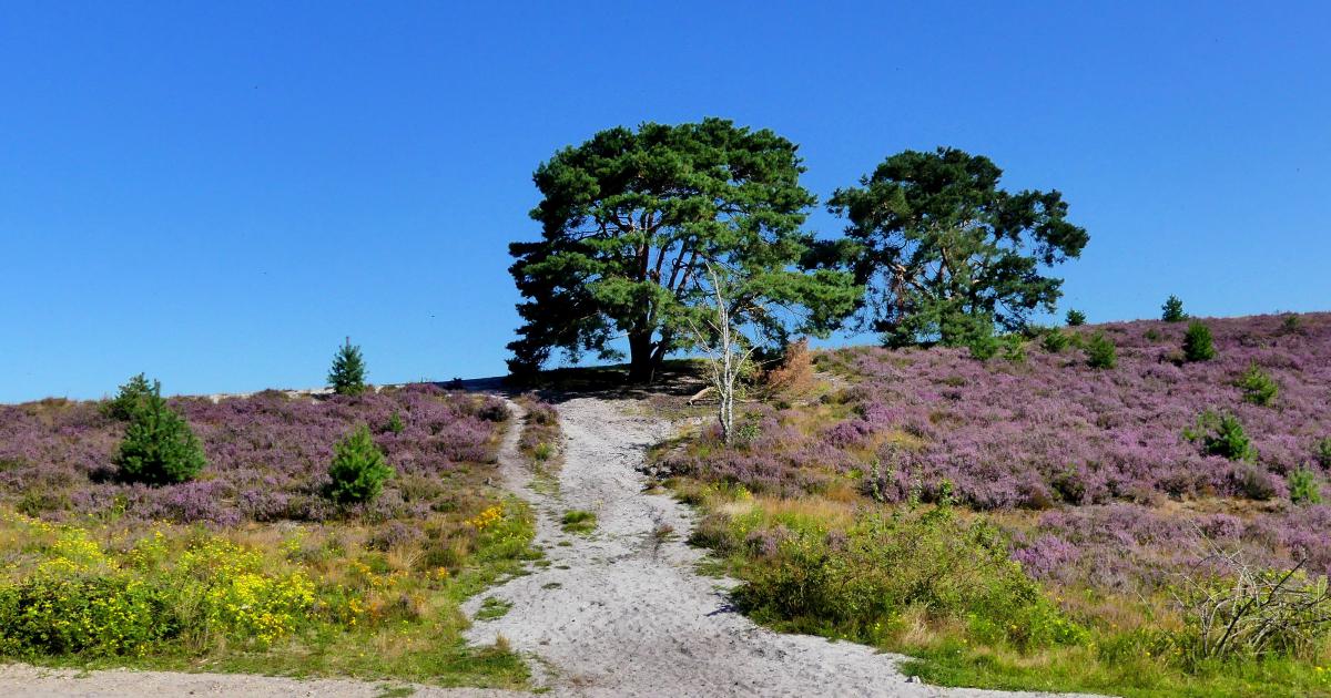 Historische wandeling langs Rode Beek | ZO-NWS