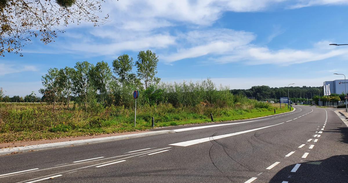 Geen bedrijventerrein Rode Beek tussen Schinveld en Brunssum | ZO-NWS