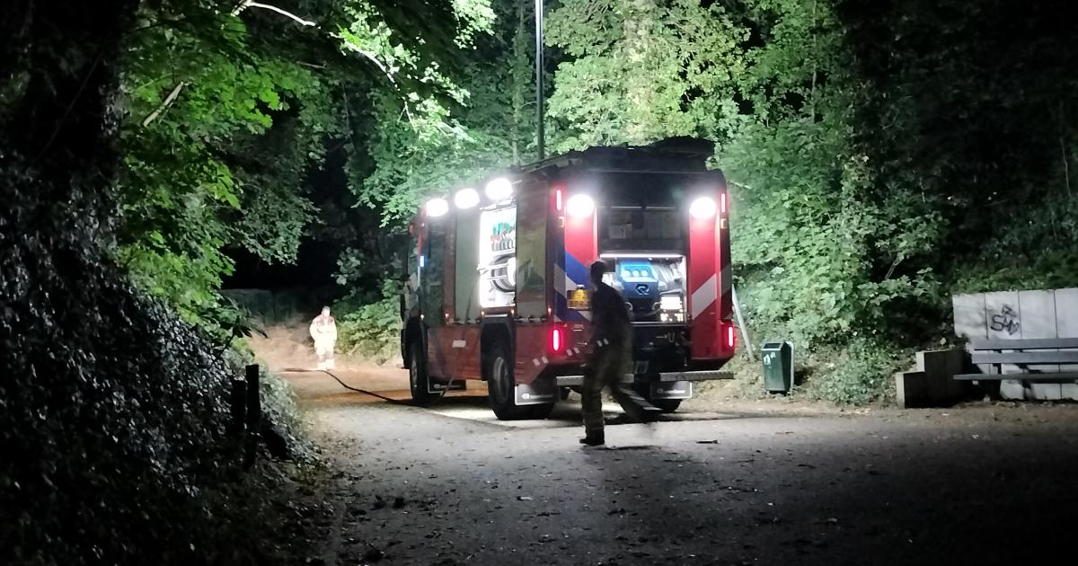 Bestelbusje met vermoedelijk drugsafval uitgebrand | ZO-NWS Bestelbusje met vermoedelijk drugsafval uitgebrand | ZO-NWS