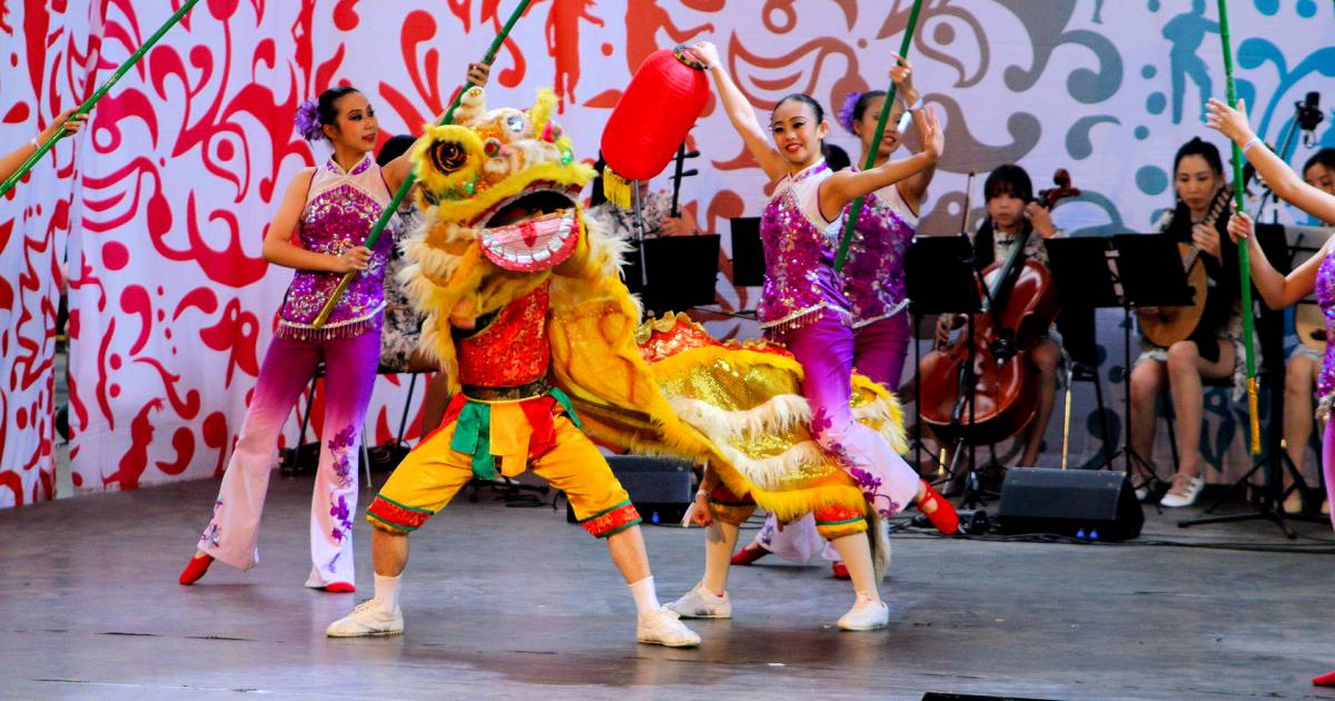 VIDEO: Parade Brunssum Inside over Zonnebloemmiddag en eten | ZO-NWS